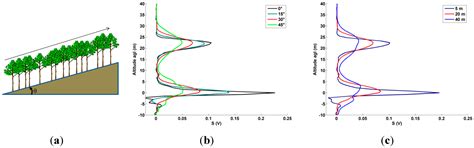 Remote Sensing Free Full Text End To End Simulation For A Forest