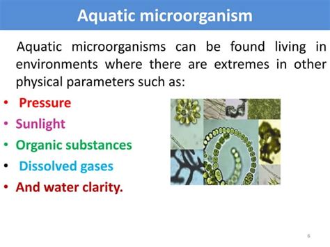 Aquatic Microbiology Ppt
