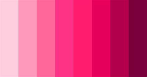 Shades Of Pink Color Palette Colordrop