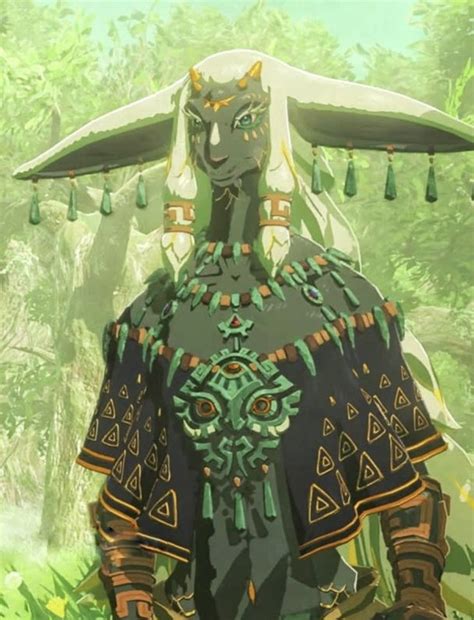 Rauru Totk Legend Of Zelda Characters Legend Of Zelda Zelda Art