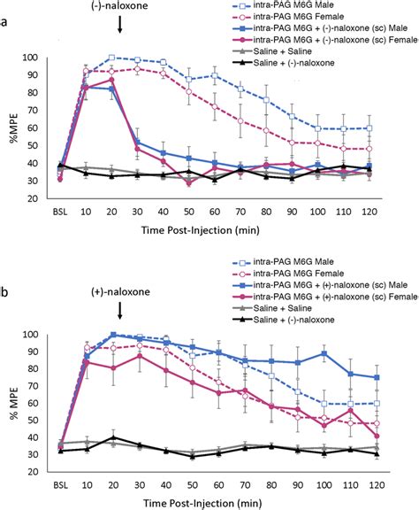 Sex Dependent Influences Of Morphine And Its Metabolites On Pain Sensitivity In The Rat