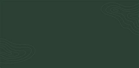 Tree Pruning Sydney NSW Tree Health Services AusArbor