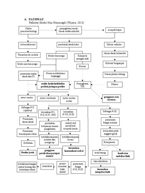 Stroke Pathways Pdf