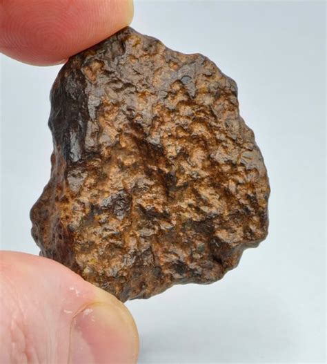 Questo è 1 Dei Soli 7 Meteoriti Approvati Come Acondrite Primitiva Non