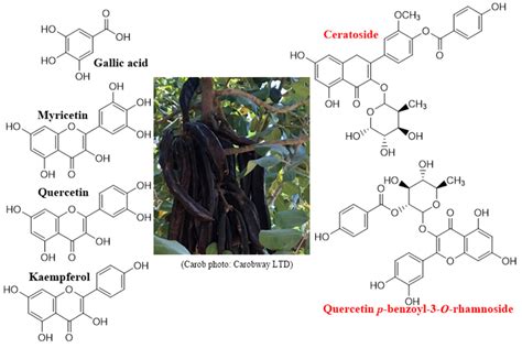 Major And New Phenolic Compounds Found In Carob Pods And Leaves 1213