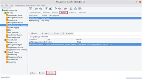 6612 Procedure Customizing Proxy Attributes Proxedo Network