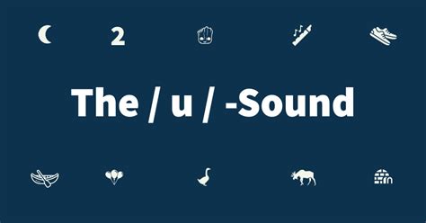 The Oo Sound — Lucid Accent Consulting