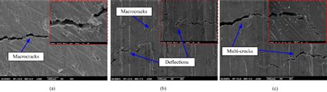 Sem Micrographs Of Fractured Cracks On The Different Sample Surface