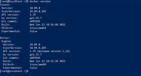 Openeuler安装docker及portainer 在那遥远的地方