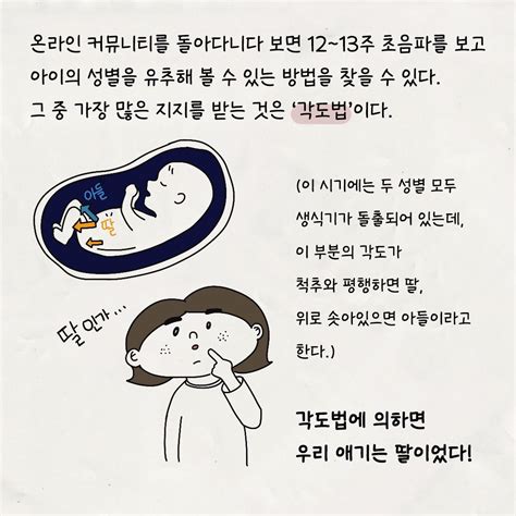 임신 15주 성별 공개 대잔치