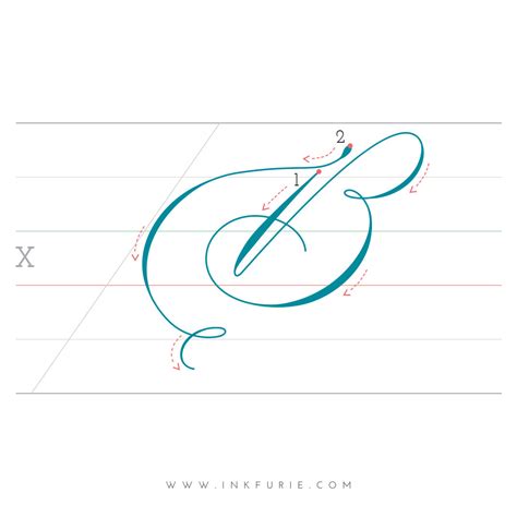 iris script uppercase b worksheet inkfurie