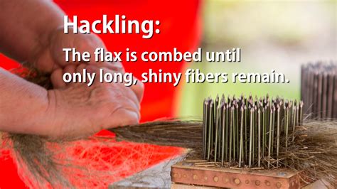 7 Hackling Portland Handweavers Guild