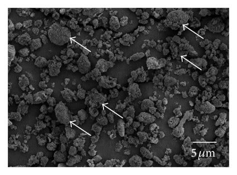 particle morphology of the prepared α tcp powders a α tcp0 b