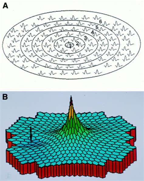Assessment Of Macular Function By Multifocal Electroretinogram Before And After Macular Hole