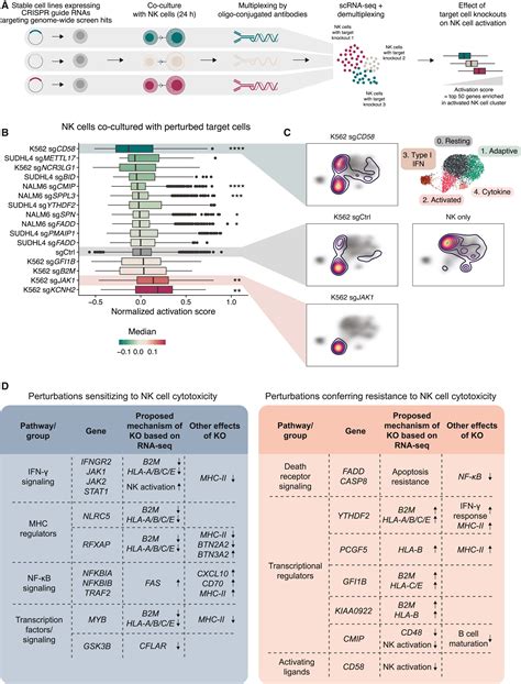 Single Cell Functional Genomics Reveals Determinants Of Sensitivity And