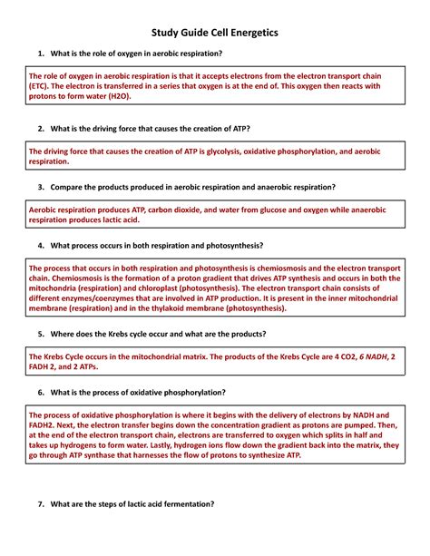 AP Bio Study Unit 3 Study Guide Study Guide Cell Energetics What Is The Role Of Oxygen In