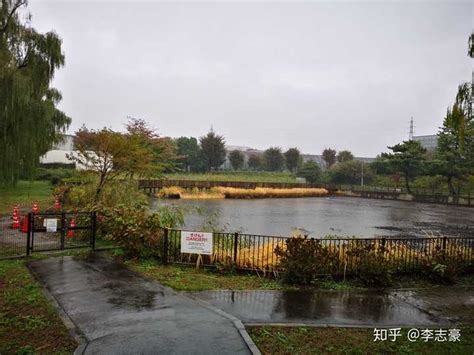 在日本理化学研究所工作是怎样的一种体验？ 知乎