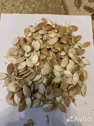 Тыквенные семечки купить в Москве | Товары для дома и дачи | Авито