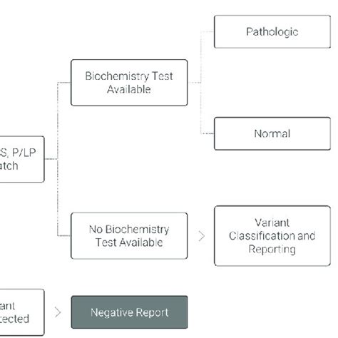 Semi Automated Workflow Used In The Integrated Multiomic Approach Flow