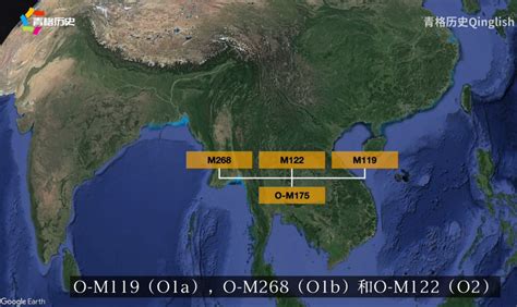 史前中国 人类农业革命与文明的起源