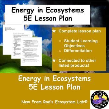 Energy Flow Of Ecosystems E Lesson Plan Editable By Rod S Ecosystem Lab