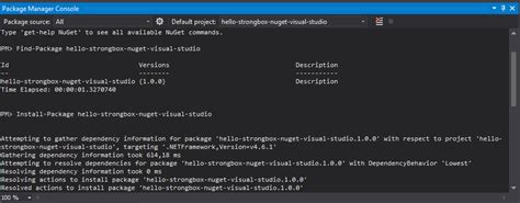 Nuget Visual Studio Example Strongbox