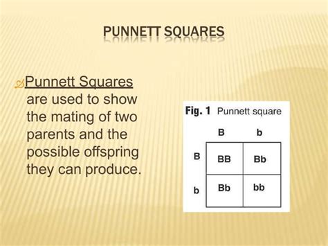 Mendels Laws Of Inheritance Pptx