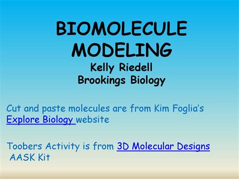 Biomolecule Modeling Kelly Riedell Brookings Biology Ppt Download