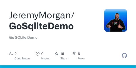 github jeremymorgan gosqlitedemo go sqlite demo