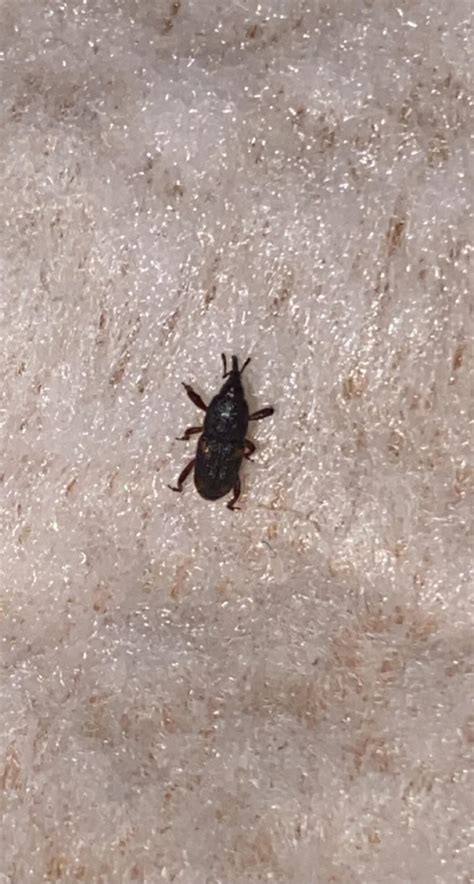 Hi Im Terrified Can You Please Tell Me Wtf This Is I Found 2 Of