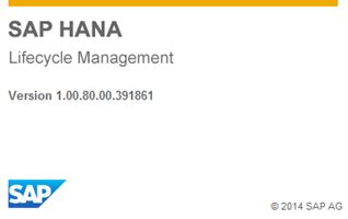SAP HANA SQL Stored Procedure Tutorial