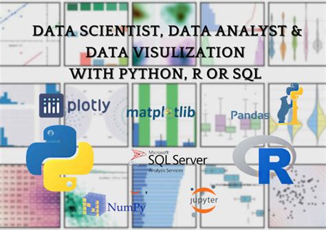 Do Data Analyse Using Python R Sql Or Excel By Anhtung Fiverr