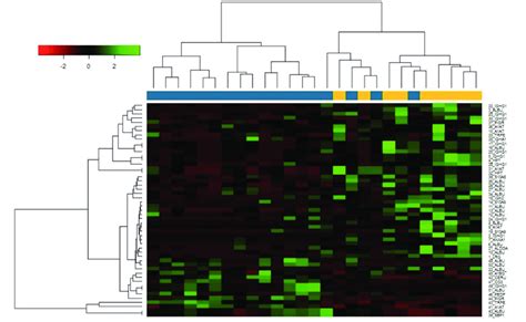Heatmap And Tree Clustering Heatmap And Tree Clustering Of V Of Download Scientific Diagram