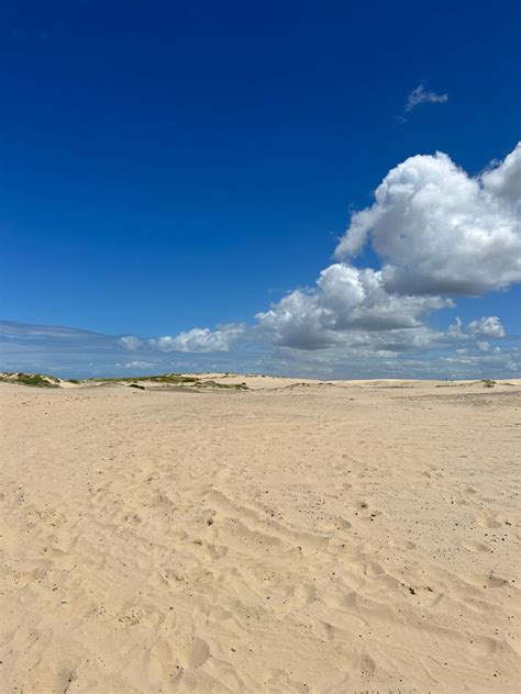 줌줌 후기 Vip 단독투어 시드니포트스테판 투어 돌핀크루즈 4wd 사막투어 시크릿코스 정희