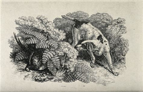 Algolia Search In Vuepress Without Joining Docsearch Rfrontend