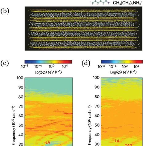 Molecular Dynamics Simulations Of The Thermal Conductivities Download Scientific Diagram