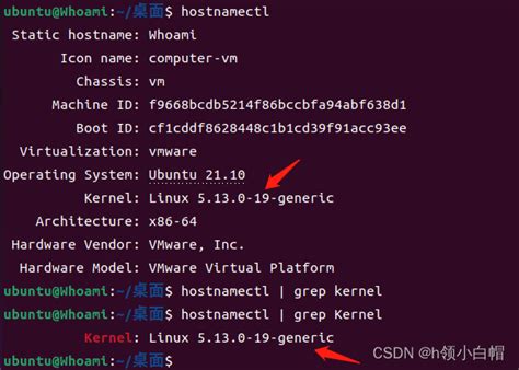 查看 Linux 内核以及系统版本的几种方法查看linux内核版本 Csdn博客