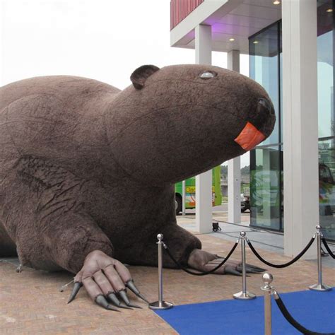 Waar Is De Biesbosch Bever Rijnmond
