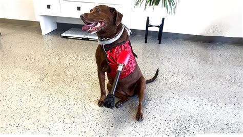 Hazels Recovery Custom Prosthesis After Osteosarcoma Amputation