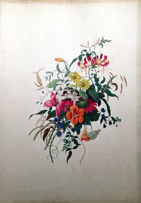 Ferdinand Bauer Austrian 1760 1826 Bouquet Arader Galleries