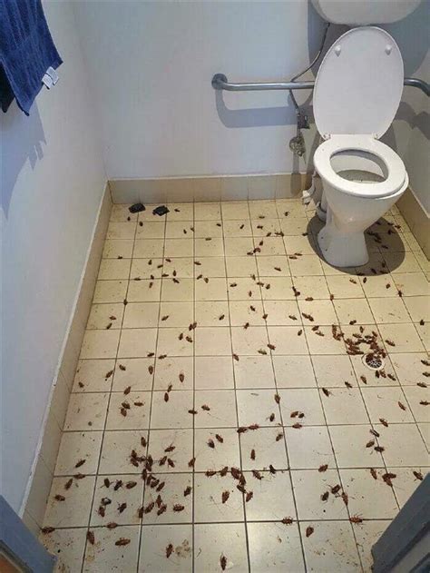 Funny Bad Day Memes 17 20240123 Thunder Dungeon The Funniest Memes