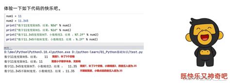 python 基础语法全面解析：字面量、注释、变量等入门概念介绍 python字面量 csdn博客