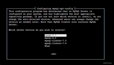Linux服务器上apt安装mysql及配置教程 Csdn博客 Linux服务器上apt安装mysql及配置教程 Csdn博客
