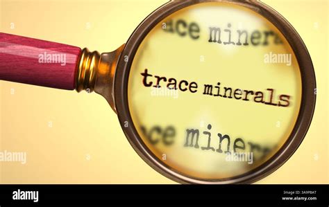 Trace Minerals Under Magnifying Glass Thorough Analysis And Inspection