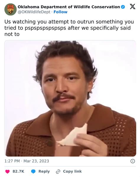 Top Funny Memes Of 2023 A Year In Review Bored Panda