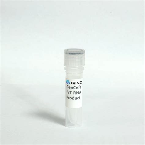 Mcherry Pa4t Gencefe