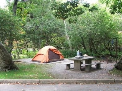 Pisgah National Forest Camping