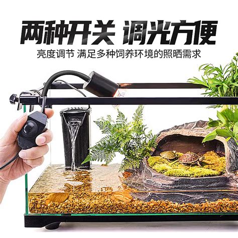 乌龟晒背灯爬宠加热灯乌龟灯养龟uva灯uvb全光谱照背灯龟灯宠物灯虎窝淘 乌龟晒背灯爬宠加热灯乌龟灯养龟uva灯uvb全光谱照背灯龟灯宠物灯虎窝淘