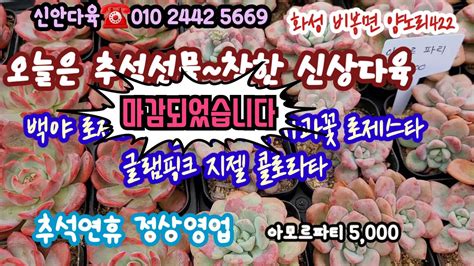 오늘은 신상다육들이 참~ 예쁘네요 착한가격은 기본 보름달셋트18종구매시 선물까지 드려요 빛감부터 남다른 오늘다육소개